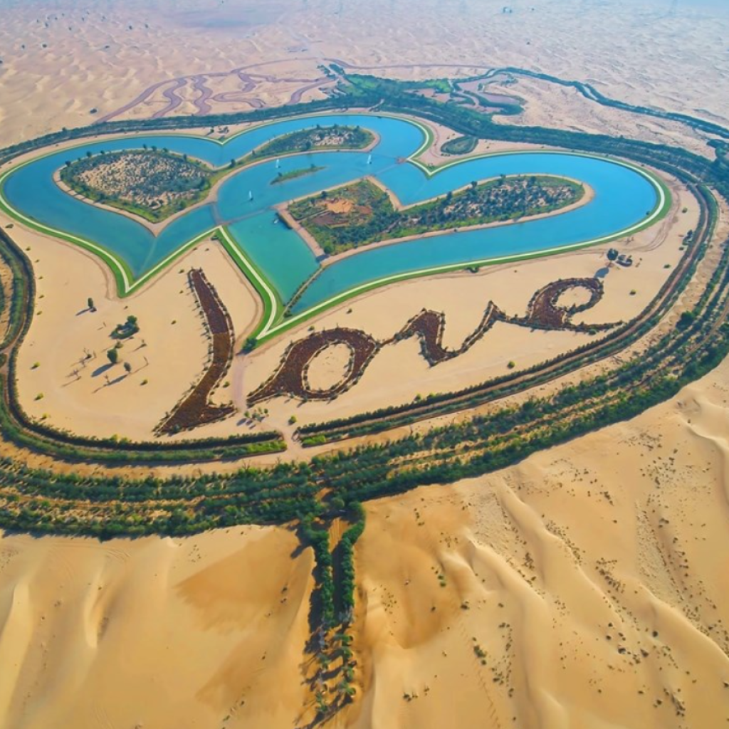 Tour to Tranquil Oasis of the Al Qudra Lakes - GMZ Car Rental